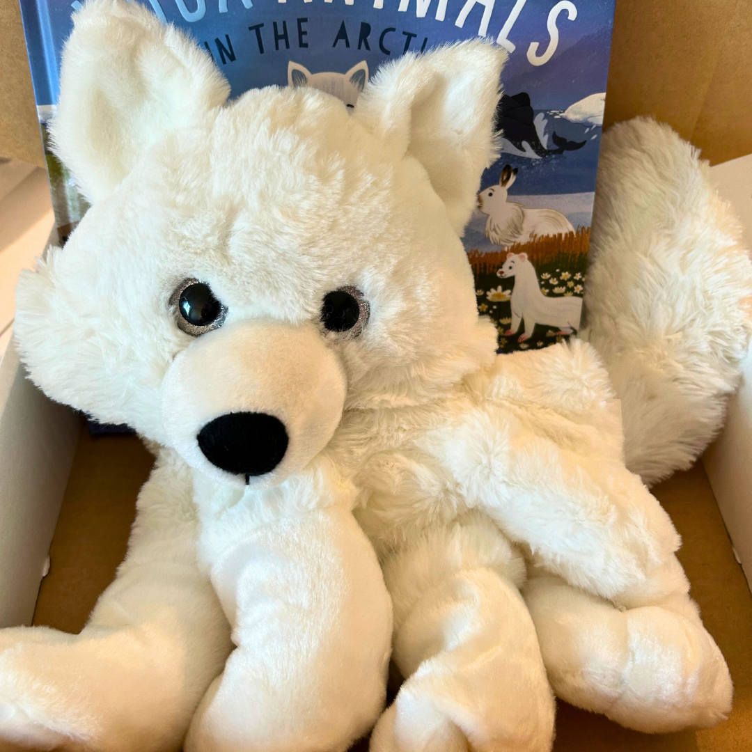 Book and Bear - Animal Book and Craft Subscription Box